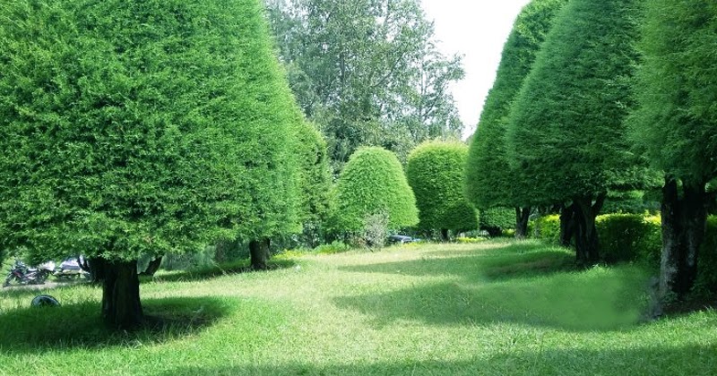 Bukit Jamur Rancabolang, Tempat Selfie Kekinian Anak Muda