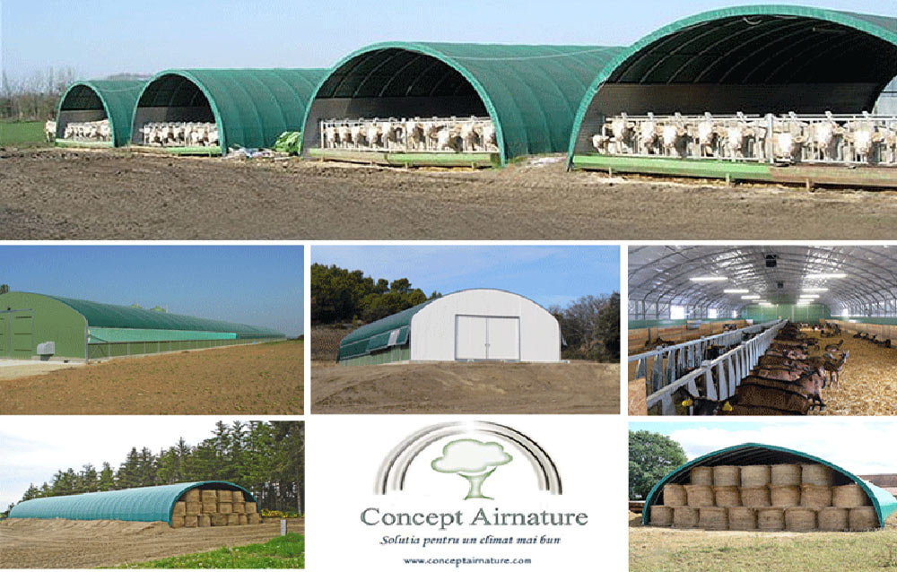 FERME DE ANIMALE: DOTARI FERME