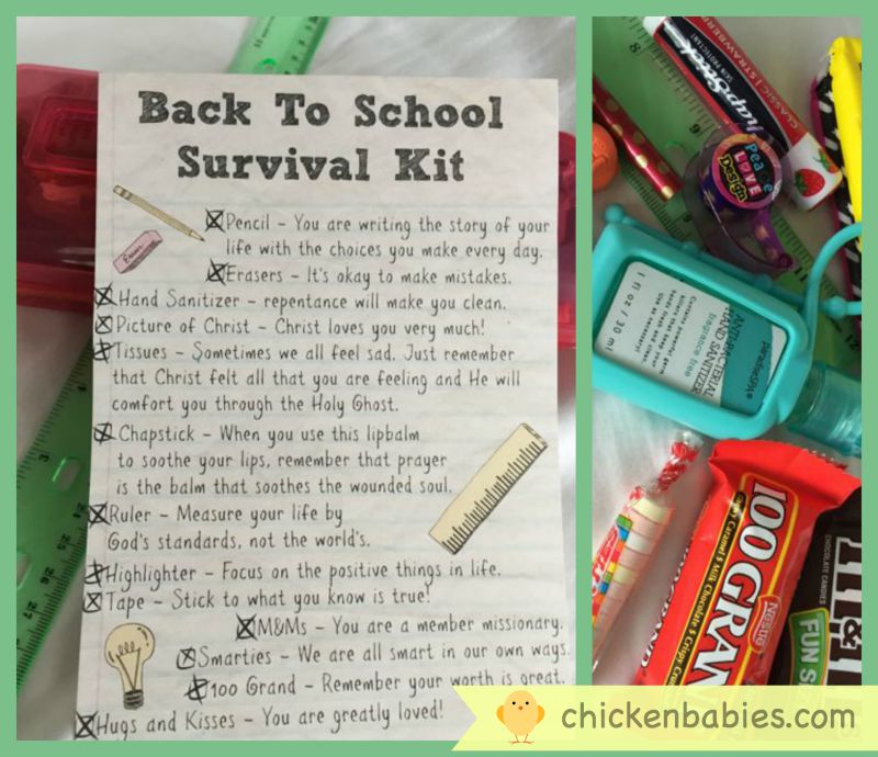 chicken babies: Back to School Countdown