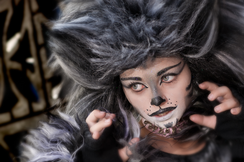 Zorian's Blog: Kai The Cat