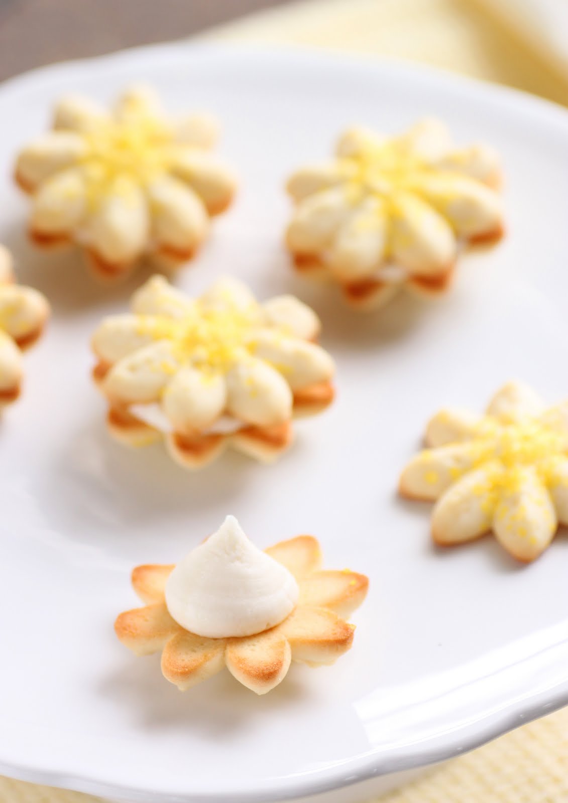 The Cilantropist: Don't Forget...The Food Blogger Bake Sale!