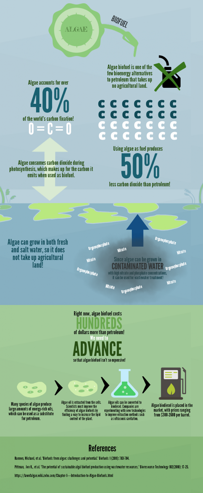 Art Room 161: INFOGRAPHIC CHALLENGE: Algae Biofuel