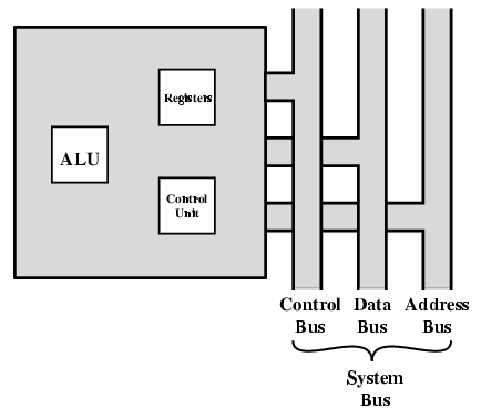Struktur dan Fungsi CPU | Organisasi Komputer