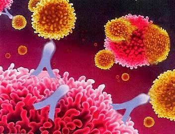 El mundo del sistema inmune. : Inmunología