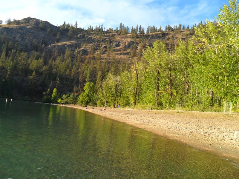 Fawn in BC: Boating - Kal Lake