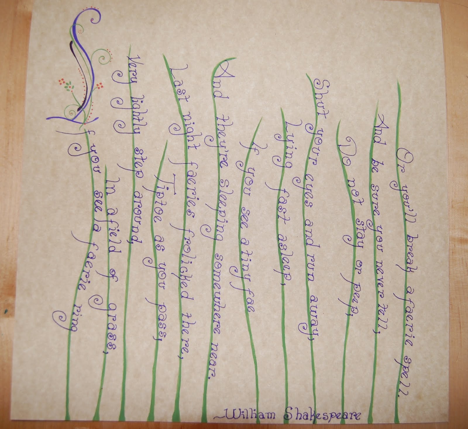 Through Faerie's Eyes