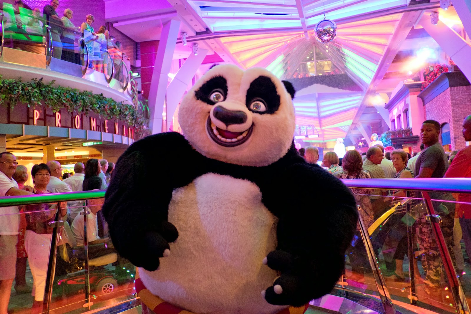 Domestic Fashionista: Royal Caribbean Allure of the Seas Cruise: Things ...