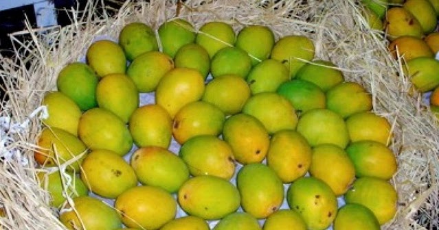 Koromcha | Precious Fruits of Bangladesh | Kamranga