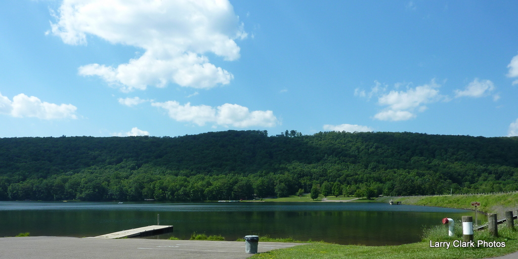 Road Runner: Locust Lake State Park, PA