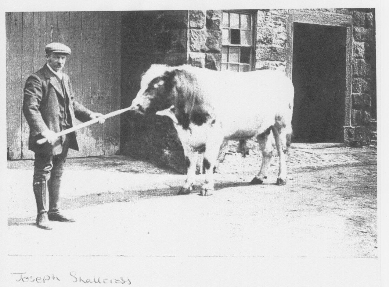 Shallcross Ancestry: First Generation (Meaning as far back as i have ...