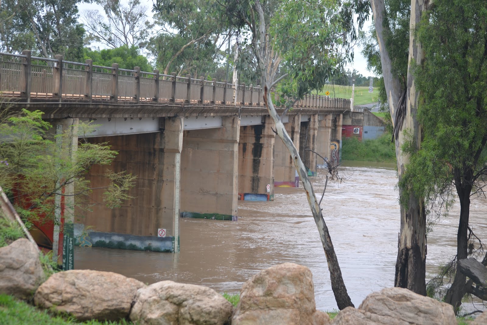 Woolly Days: Mitchell gets near record flooding