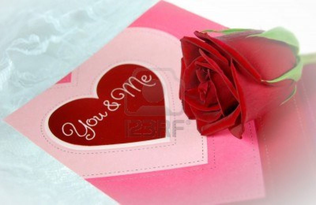 Valentine Single Rose Pictures , photos and HD wallpapers | Online ...