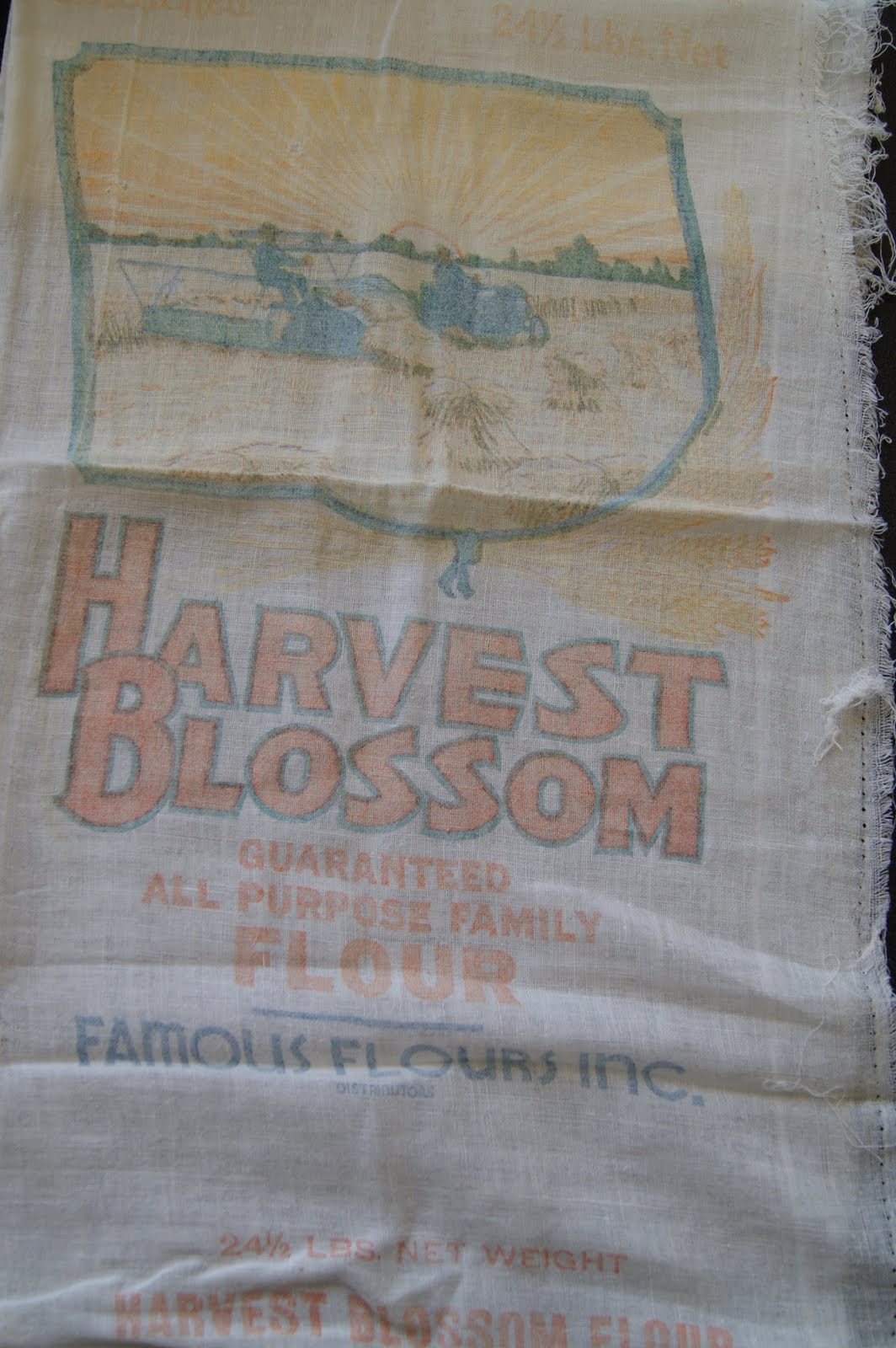 Puddle Jumper Creations: What to do with Vintage Flour Sacks...