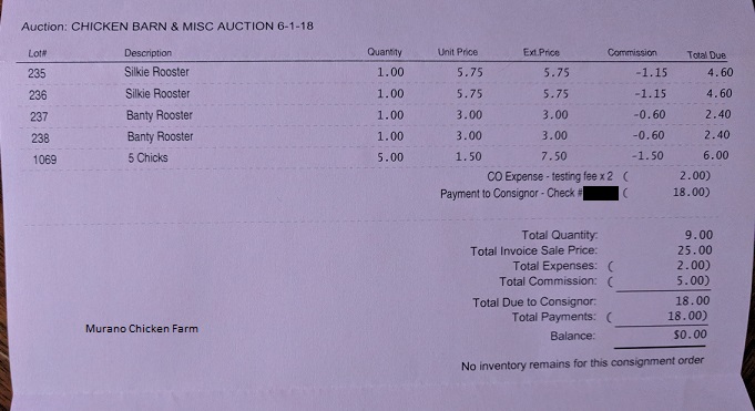 Poultry auctions. What to expect - Murano Chicken Farm