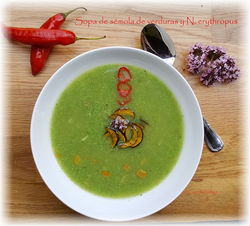 CocinandoSetas: Sopa de sémola de verduras y N. erythropus