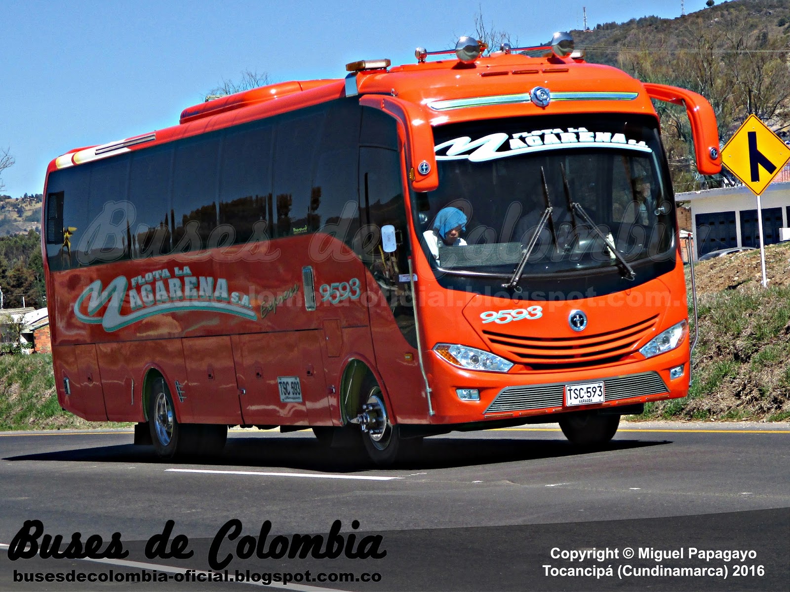 Flota la Macarena 9593