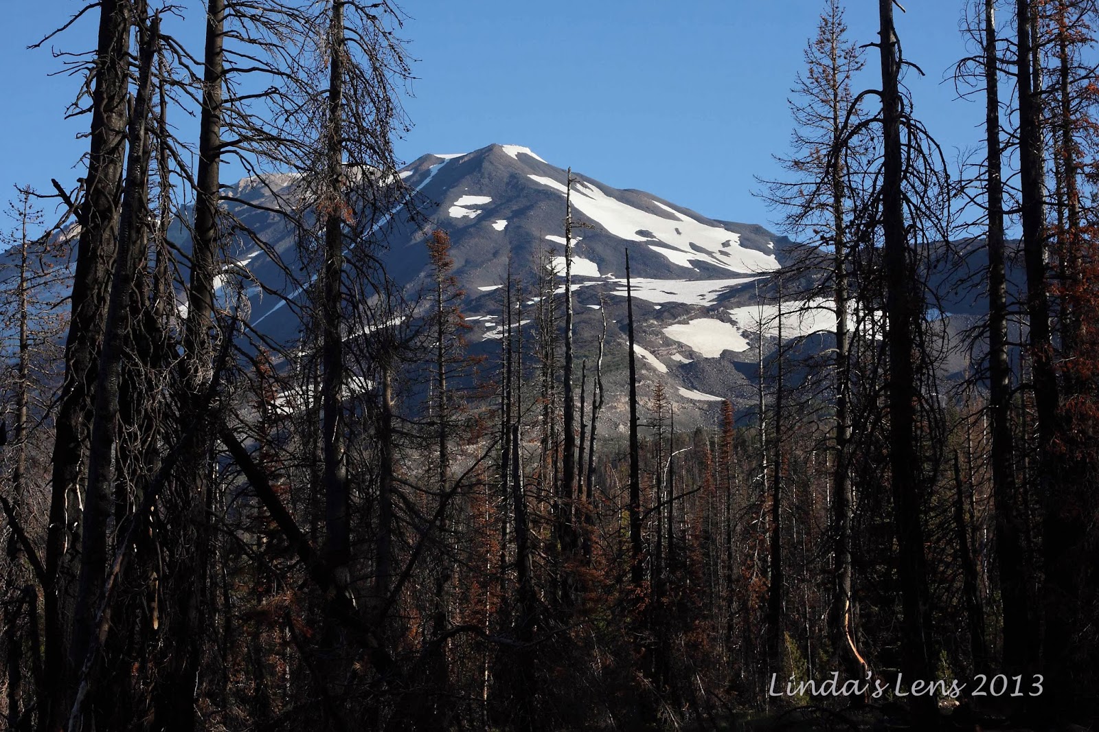 Linda's Lens: Magnificent Mt. Adams