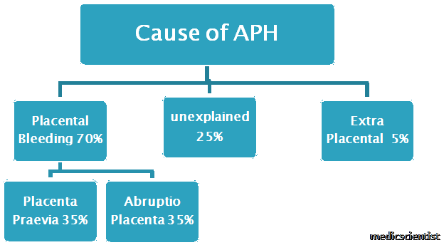 amudu: What is Antepartum Haemorrhage (APH)