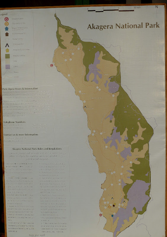 Worldbirder: Rwanda: Akagera National Park.