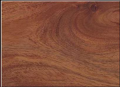 pusat info berharga, berguna serta penting: Kayu Akasia ( Acacia Mangium )