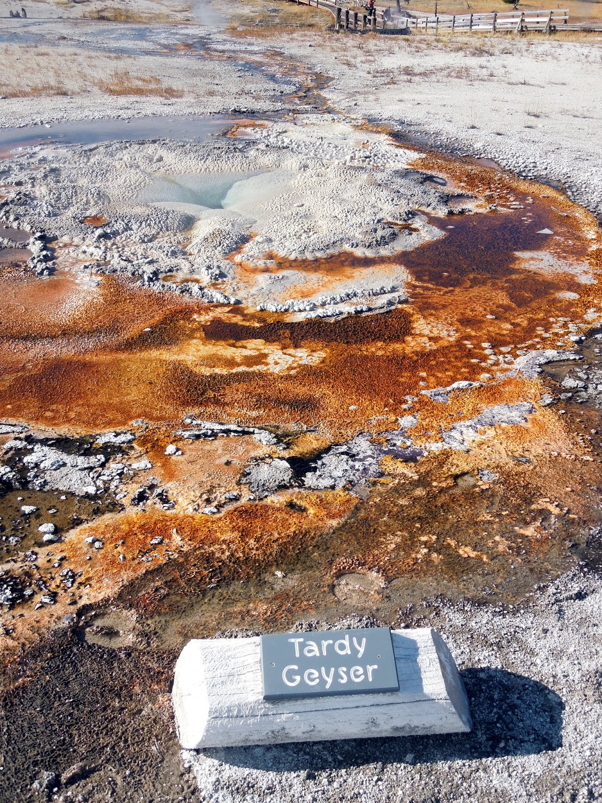 Focusing On Travel : Yellowstone: A Geyser Gazers Guide to the Upper ...