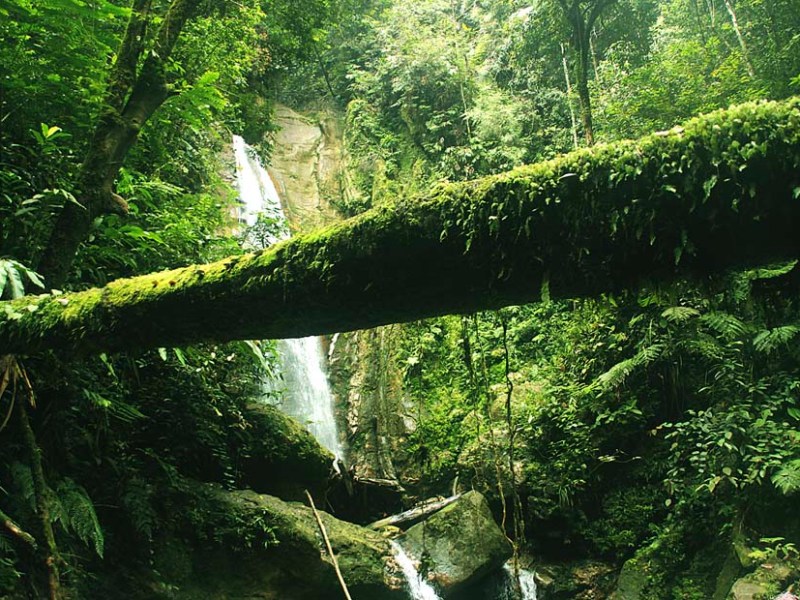 Gunung Djadi Gunung Pertama di Riau | Budaya dan Pariwisata Provinsi Riau