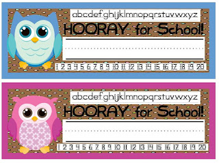 First Grade O.W.L.s: OWLS, Reading Street, and a Freebie!