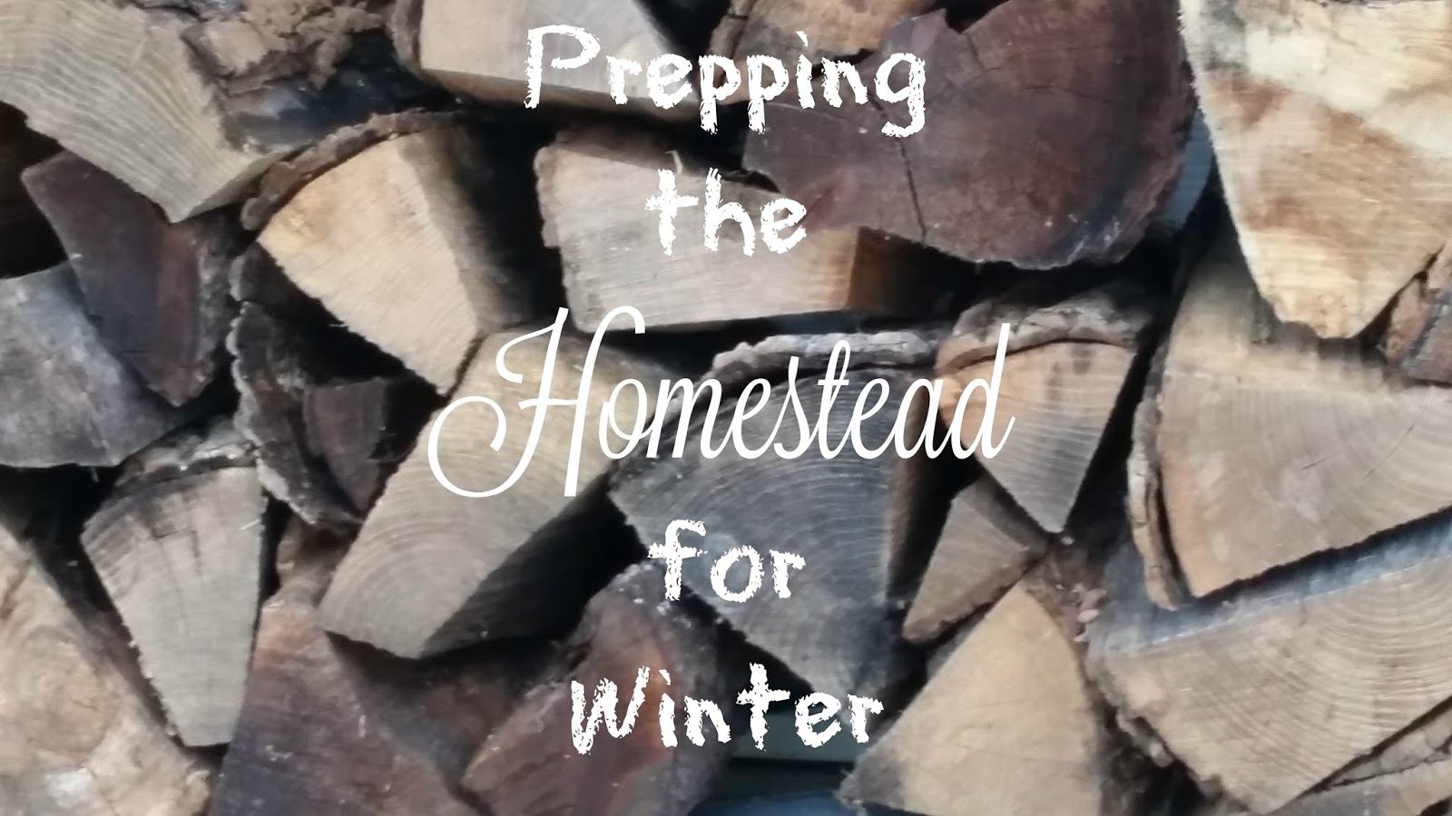 LL Farm: Prepping The Homestead For Winter
