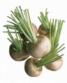 Repa (lat. Brassica rapa) | Prirodni lijekovi za sve bolesti ! All ...