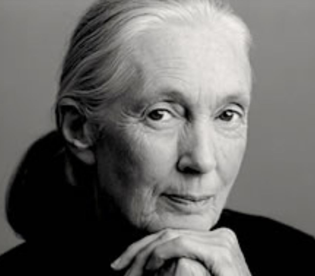 Heroínas: Jane Goodall naturalista, activista y primatóloga