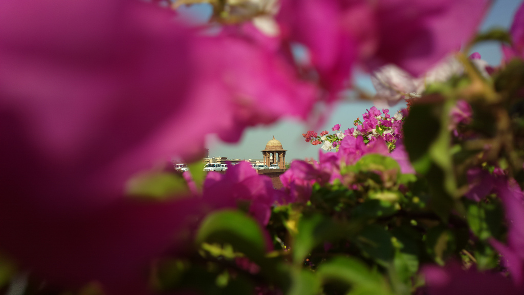 Nokia 808 PureView: NEW | Nokia 808 PureView | Photo samples | India