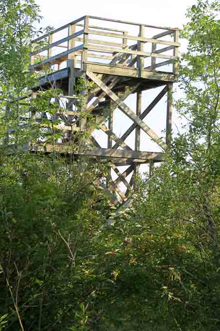 East Gwillimbury CameraGirl: M/Alphabe-Thursday