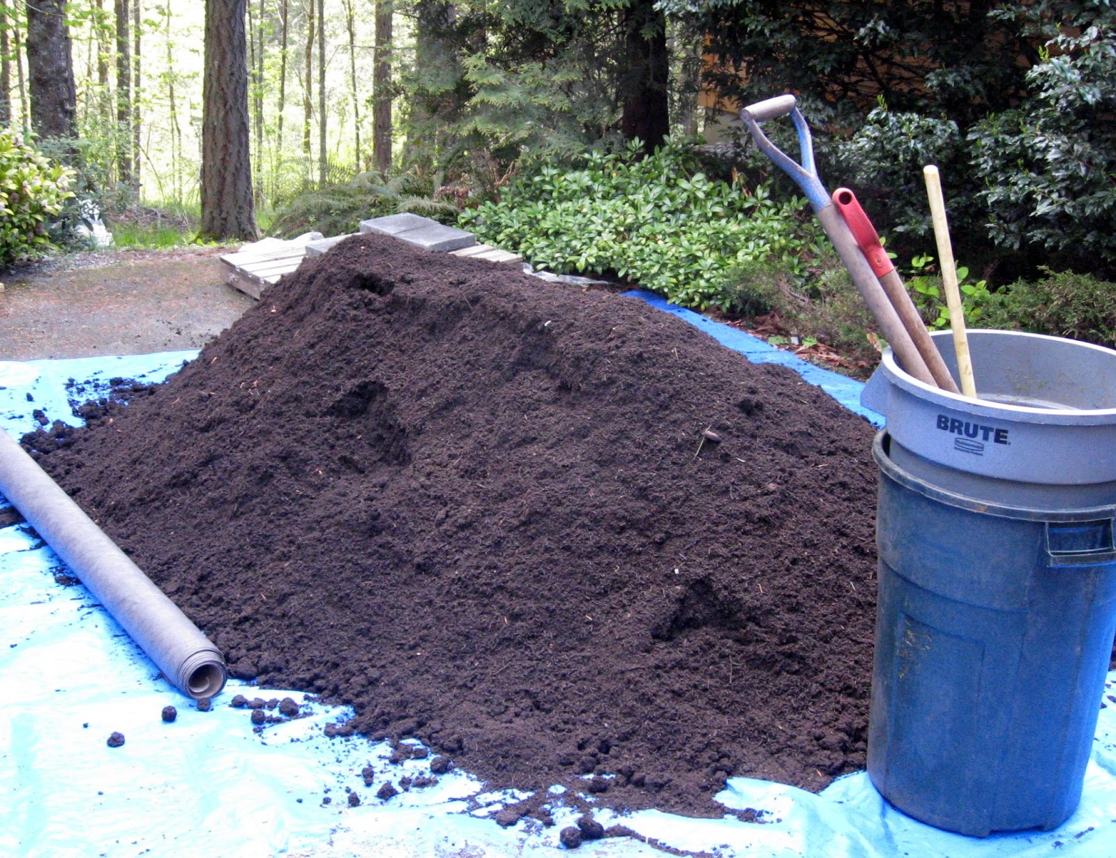Lesley Turner: Backyard Project: Soil Building in the Lower Patio