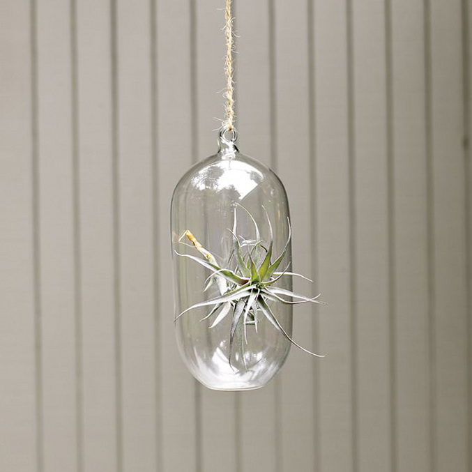 Amazing Hanging Garden in Glass Bubbles