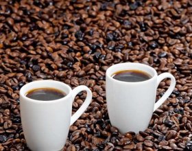 US$50 secawan untuk kopi tahi gajah