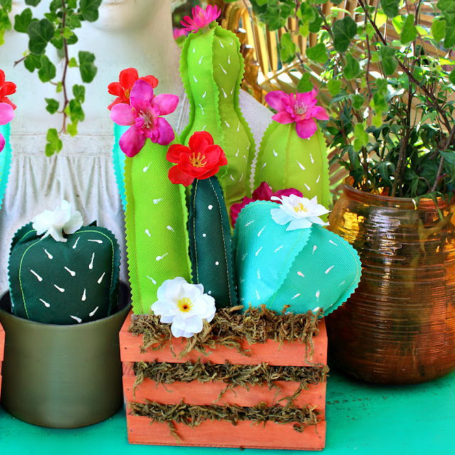 Mark Montano: Cute Stuffed Cactuses DIY
