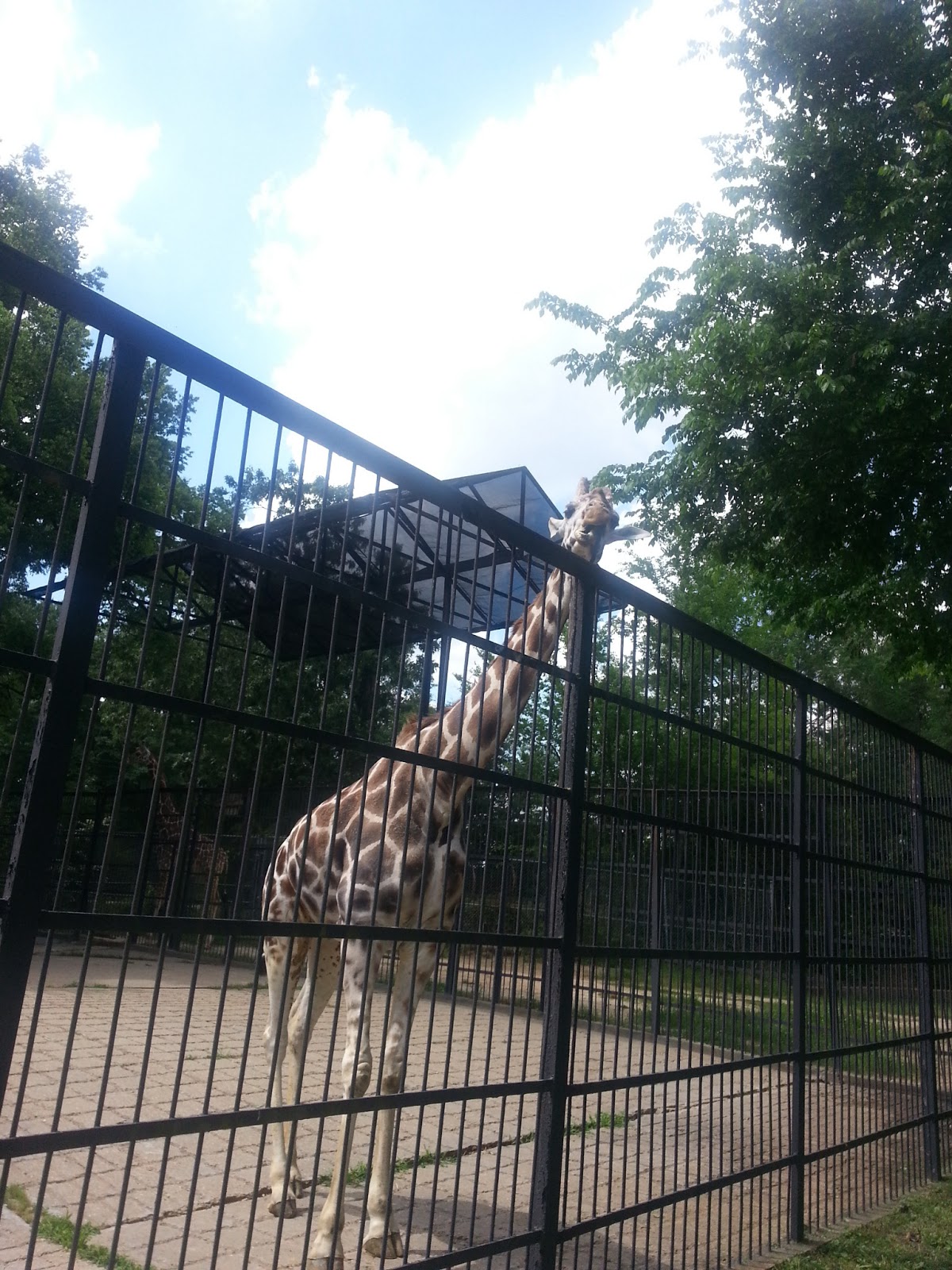 Rockhounding Around: Jackson Zoo, Jackson Mississippi