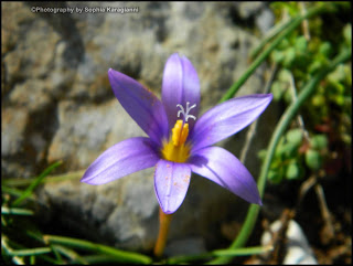 Kos and the Dodecanese through my eyes-Η Κως και τα γύρω νησιά μέσα από ...