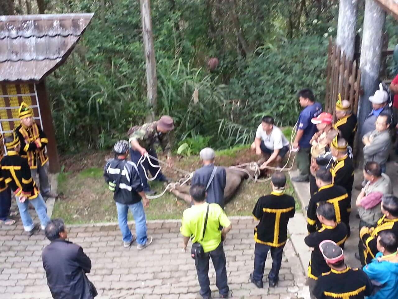 Informasi Terkini: Upacara 'Sogit' Tenteramkan Penjaga Gunung Kinabalu