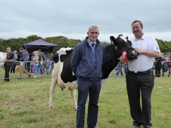 Listowel Connection: Sheep and Cows at Kingdom County Fair 2016, People ...