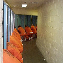 Variable Enhancement Services: Inmate falls from roof of the jail ...