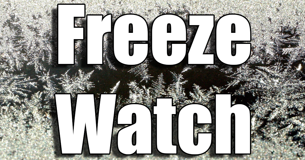 WEATHER ALERT: Schuylkill County Issued Freeze Watch for Late Friday ...