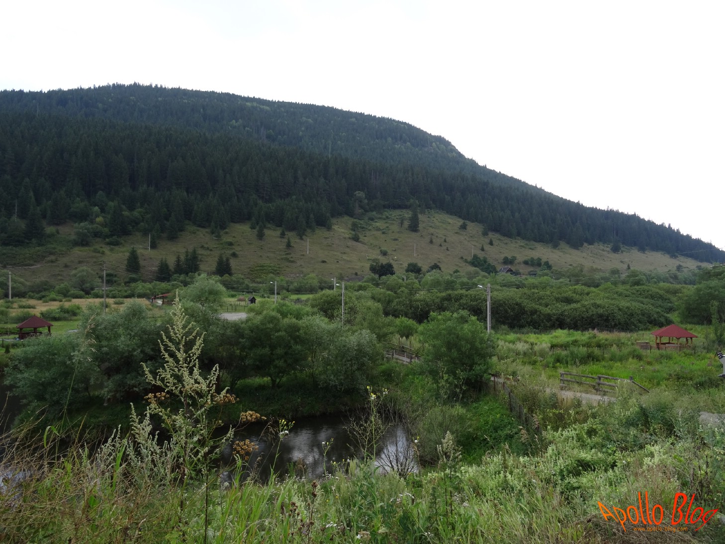 Apollo Blog: Duminica pe Valea Muresului