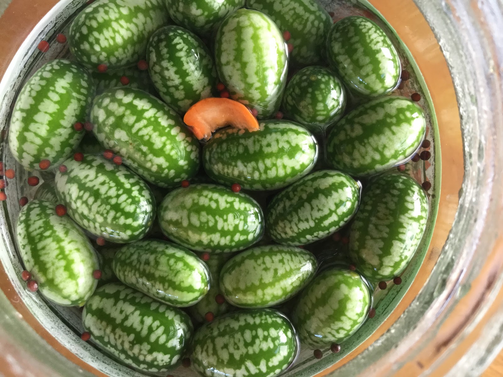 Backyard Garden : Cucamelons - crunchy treats