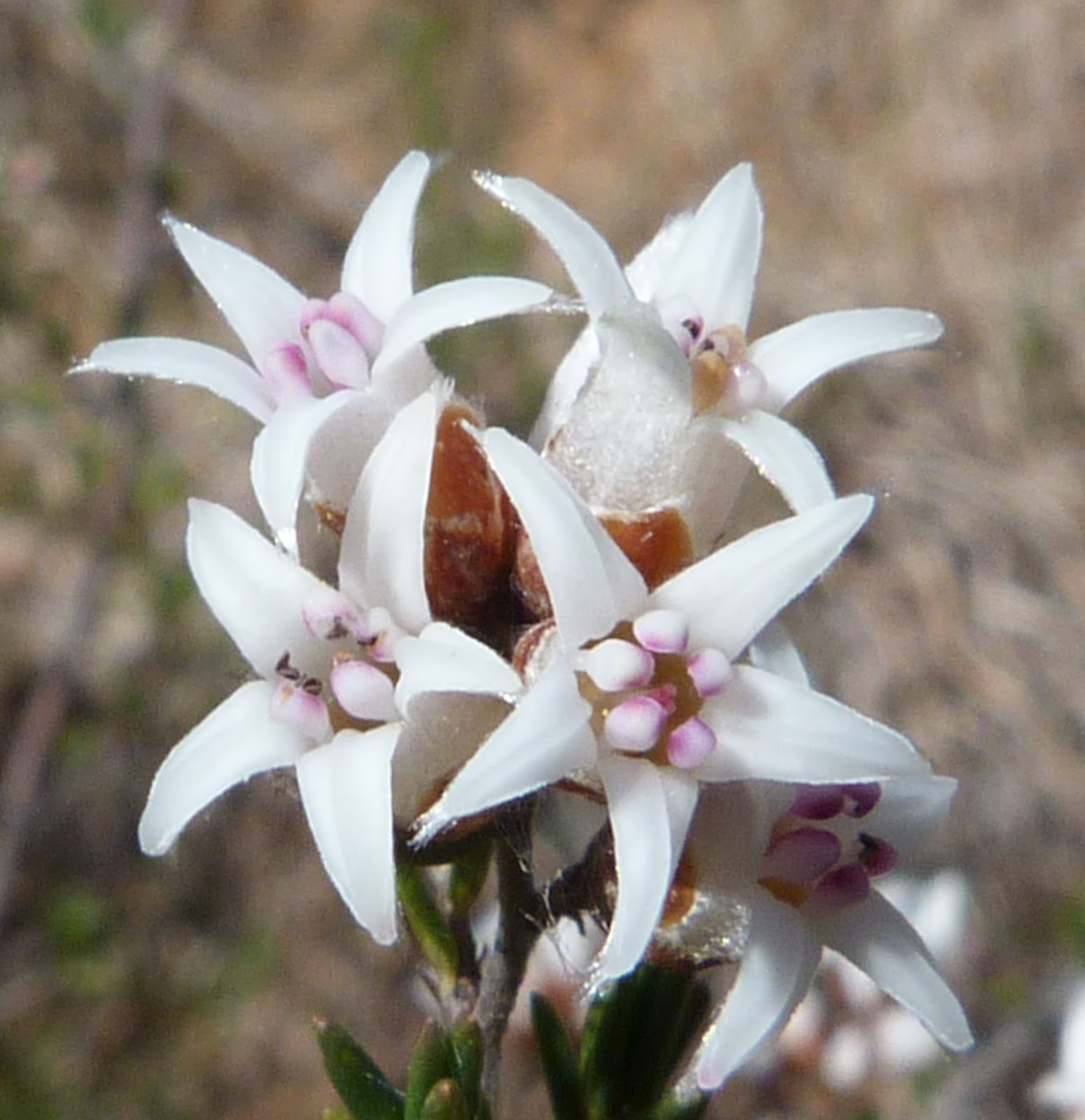 ANPS goes up the River (without a paddle)