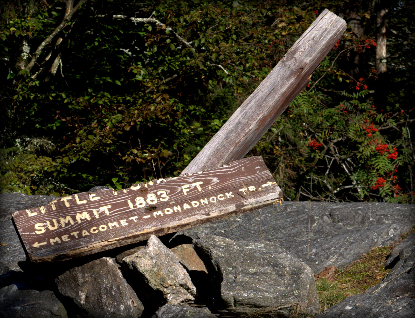 Along the NET-Cohos: NH M-M Sections 20b-21 Little Monadnock & Gap Mountain