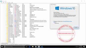 Windows 10 Pro Rs1 v1607 En-us 2016 Pre-Activated - NoirSoftware