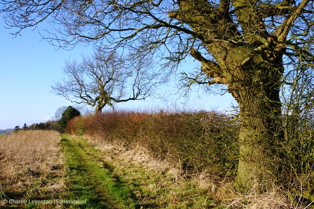 Summitsup: Ash Coppice Hill and Arlescott Medieval Village