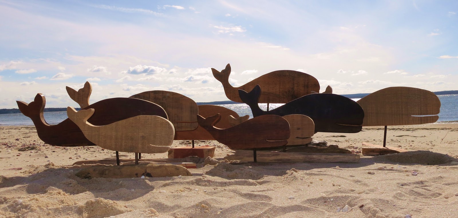 Small Holdings Farm: Long Island Whale Watching