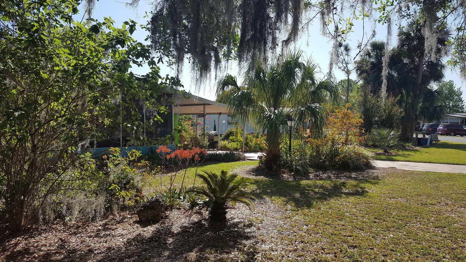 1003 Gardens: Oklahoma State Tree...Eastern???Redbud